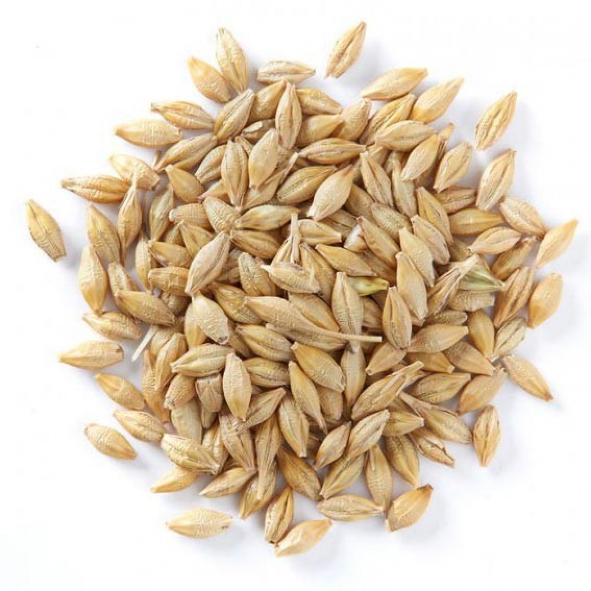 Cleopatra Herbs - Barley seeds